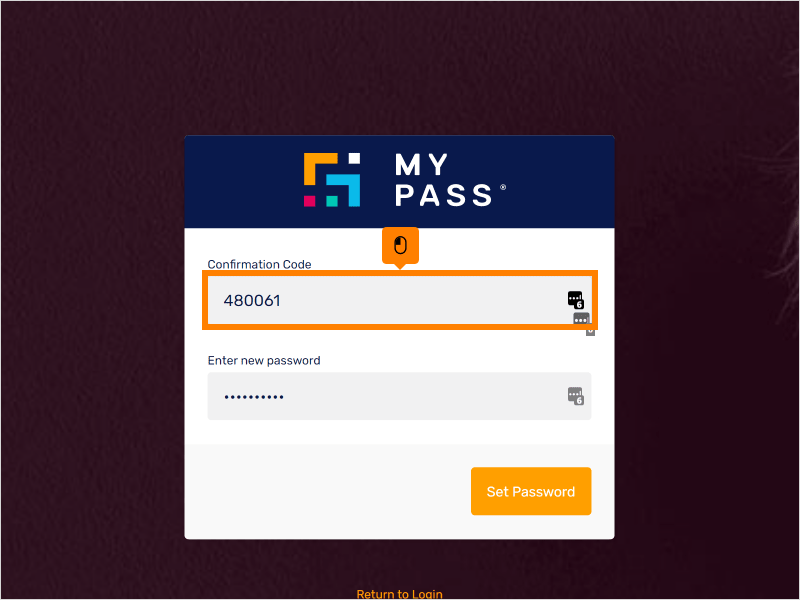 Reset Your Password – MyPass Global Support